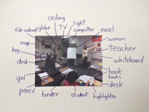 The Best Ways To Modify The Picture Word Inductive Model For ELLs ...