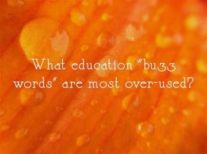 “What Education ‘Buzz Words’ are Most Over-Used?” | Larry Ferlazzo's ...