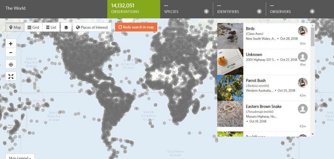 How Could I Not Have Known About “iNaturalist”? It’s A Great Tool For ...