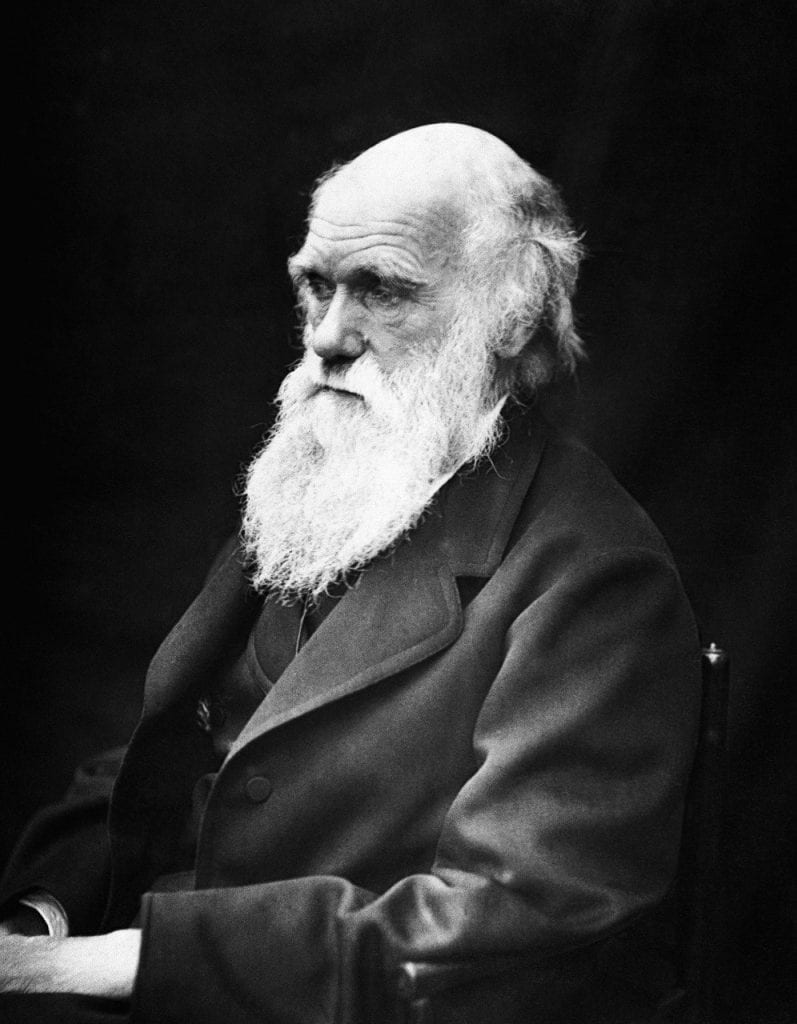 Charles Darwin Was Born On This Day In 1809 – Here Are Teaching ...