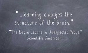learning changes the structure of the brain” | Larry Ferlazzo's ...