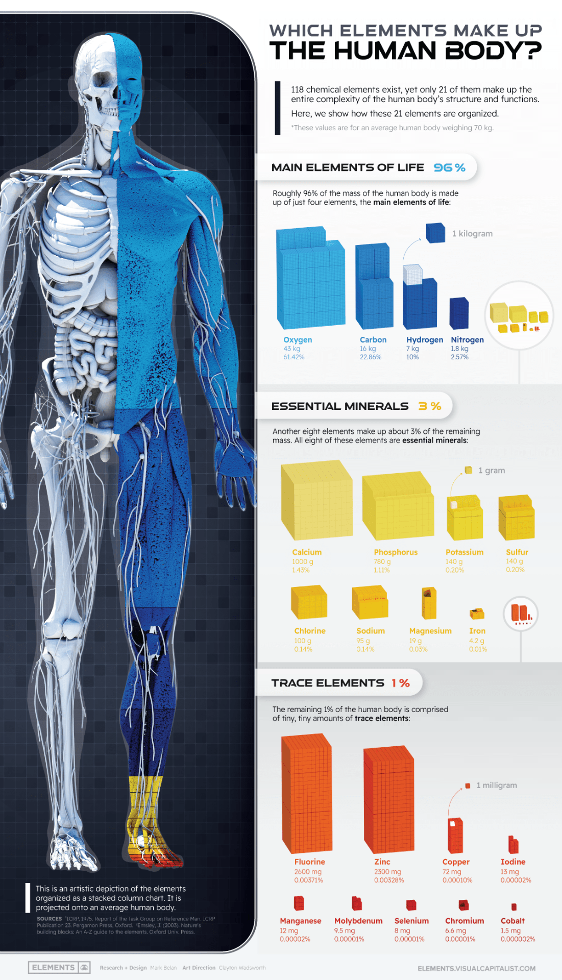 Infographic Of The Week: “The Elemental Composition of the Human Body ...